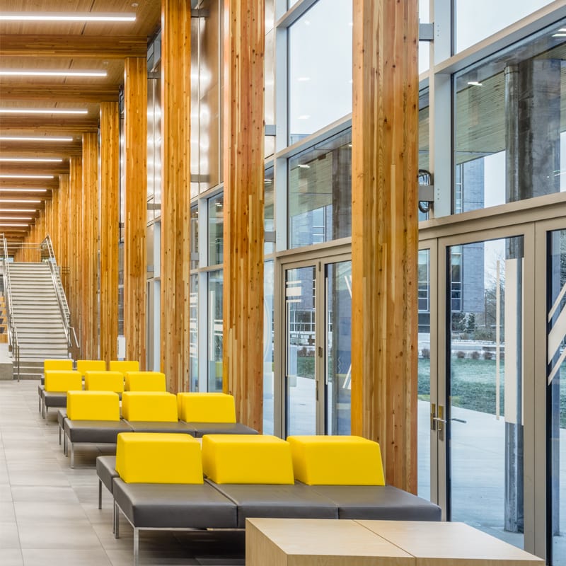 Nail-Laminated Timber Design & Construction Guide - Fast + Epp