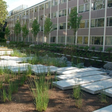 UBC Buchanan Blocks - Fast + Epp