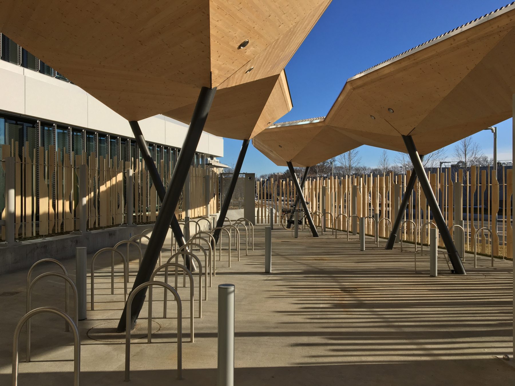 Harvard University Bike Canopy - Fast + Epp