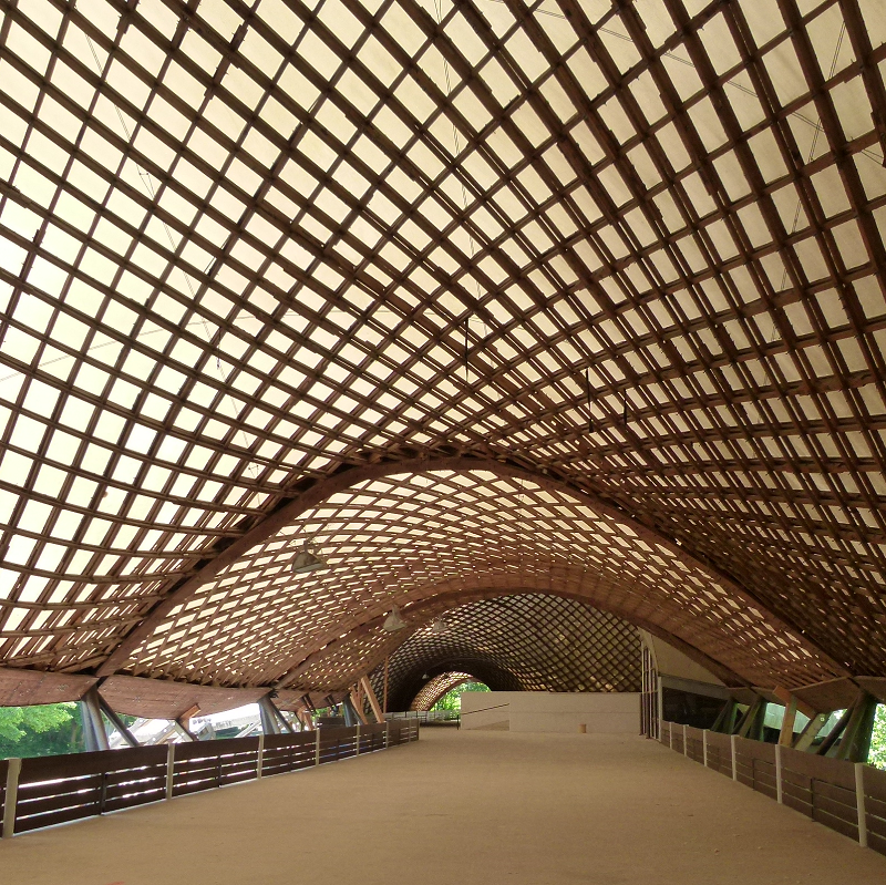 Fast + Epp mit Sanierung Multihalle Mannheim beauftragt